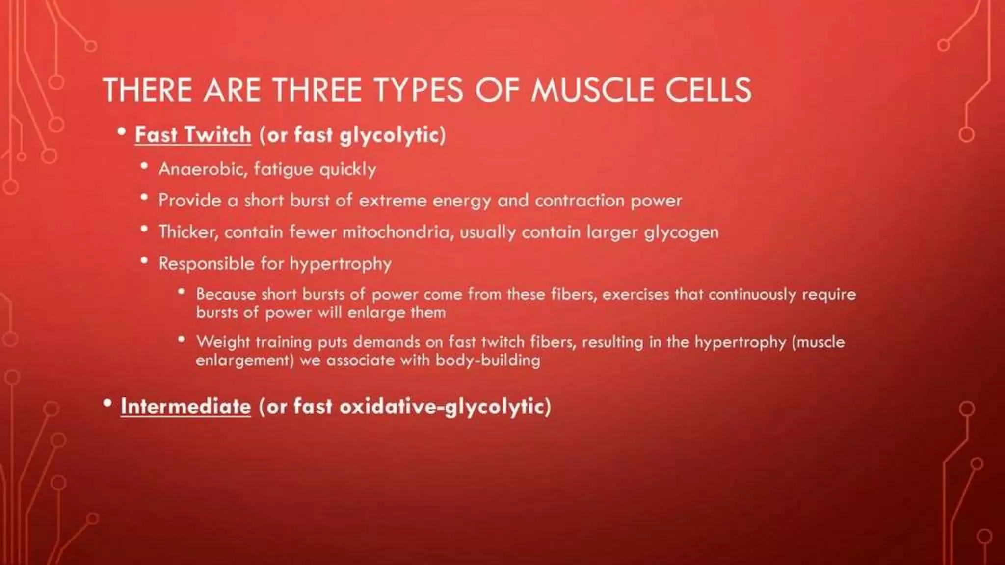 T - SKELETAL MUSCLE SYSTEM | PPT