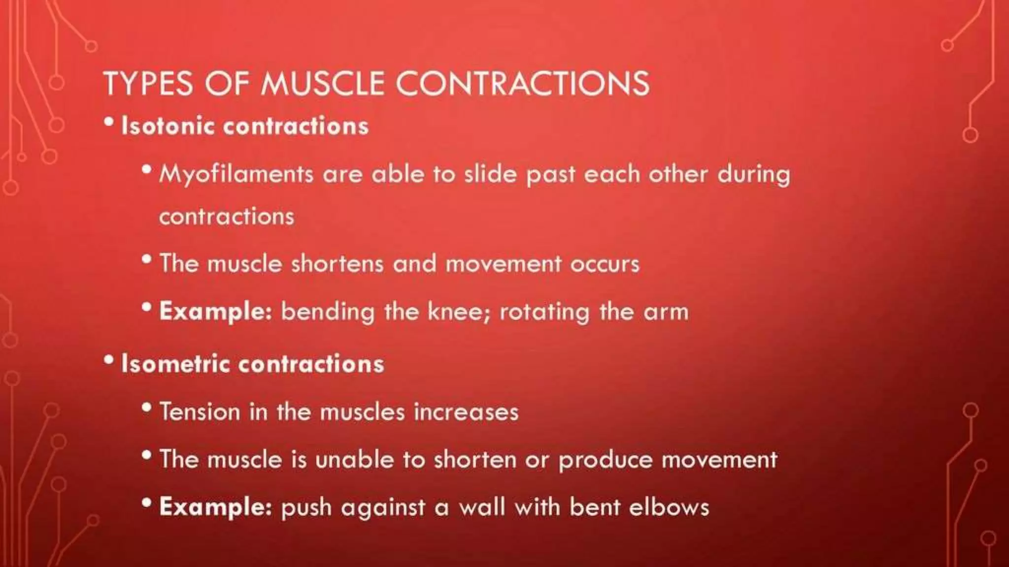 T - SKELETAL MUSCLE SYSTEM | PPT