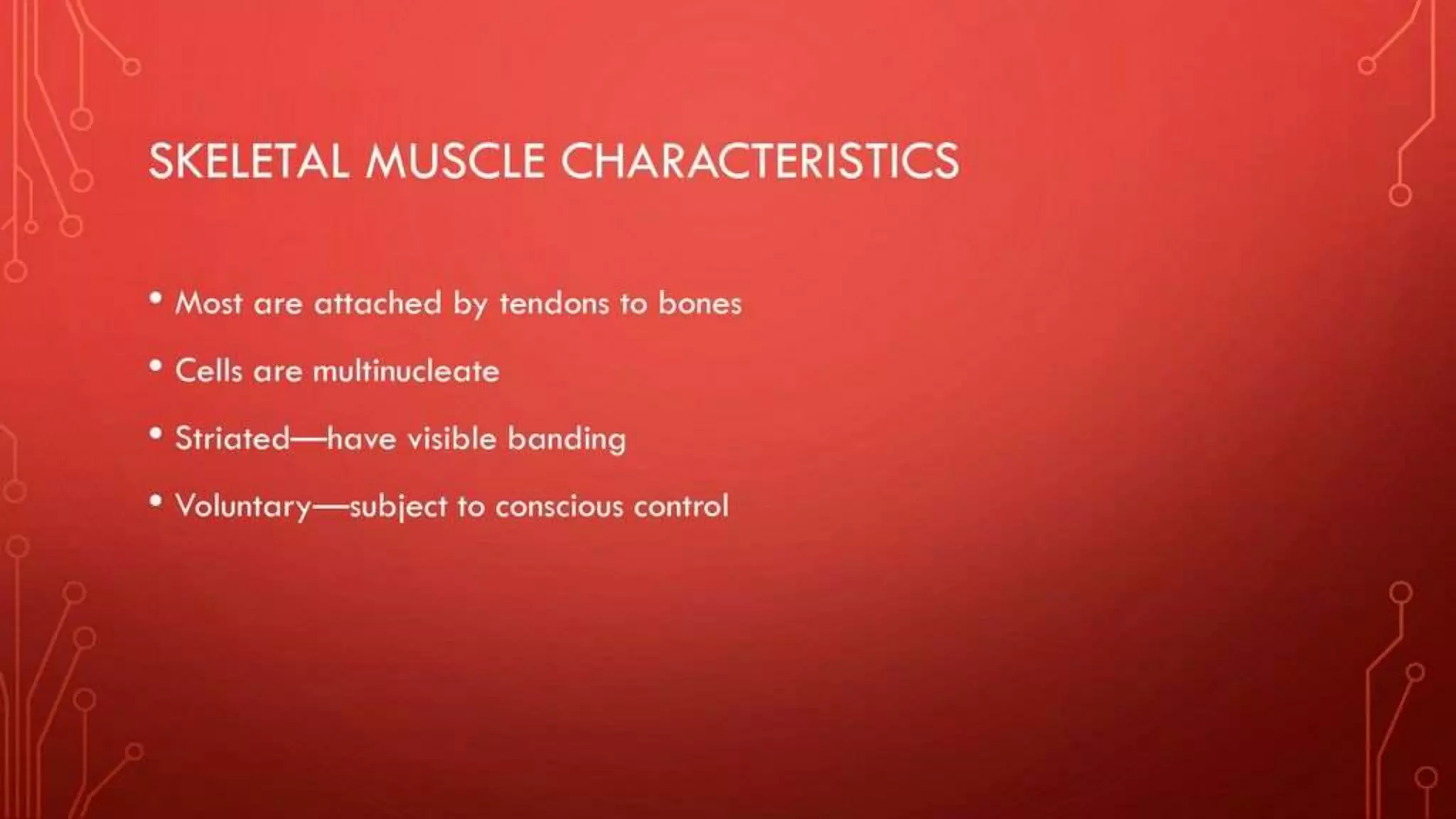 T - SKELETAL MUSCLE SYSTEM | PPT