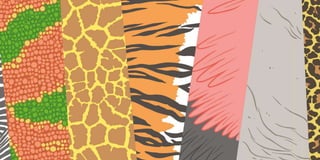 t-or-1117-the-zoo-vet-story-powerpoint_ver_2.pptx