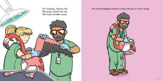 t-or-1117-the-zoo-vet-story-powerpoint_ver_2.pptx
