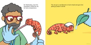 t-or-1117-the-zoo-vet-story-powerpoint_ver_2.pptx