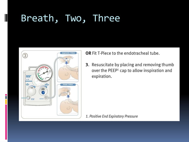 T piece resuscitator | PPTX | Lung and Respiratory Health | Diseases ...