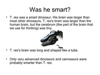 T Rex | PPT