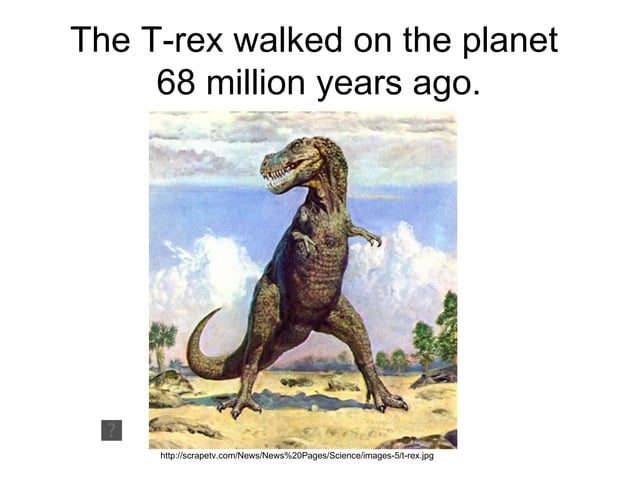 T rex | PPT | Reptiles | Pets