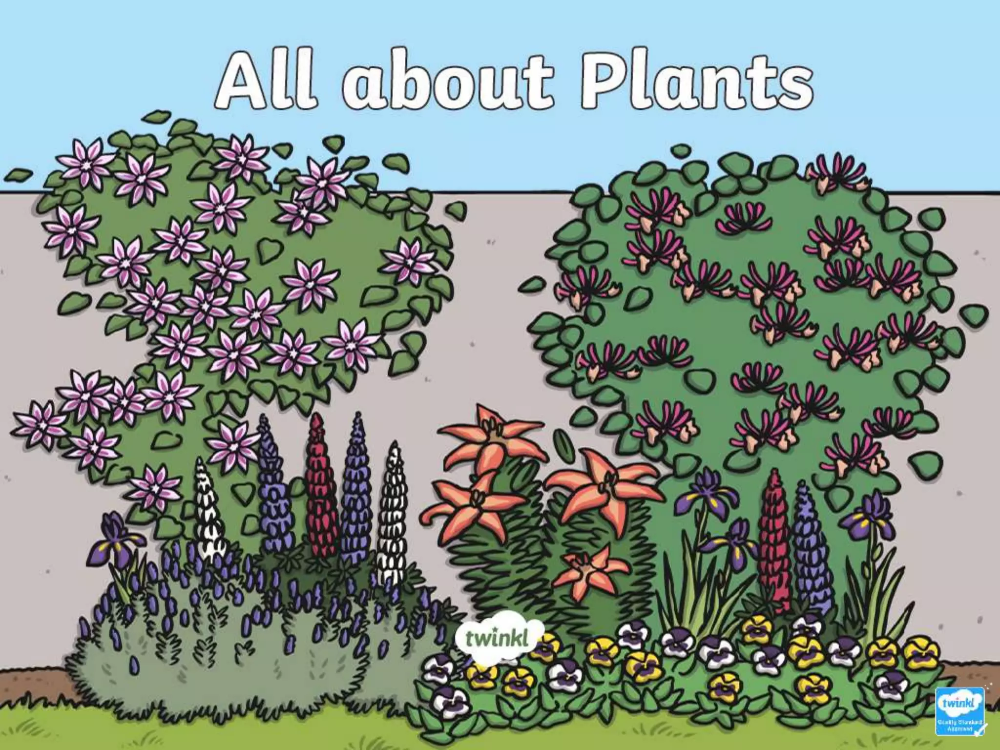 t-sc-272-ks1-all-about-plants-powerpoint_ver_3.ppt