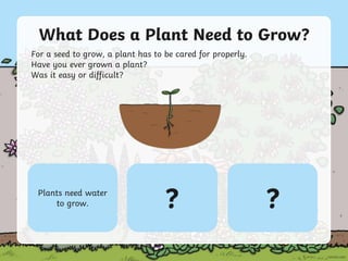 t-sc-272-ks1-all-about-plants-powerpoint_ver_3.ppt