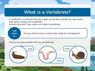 Vertebrates Vertebrates Vertebrates Vertebrates | PPTX