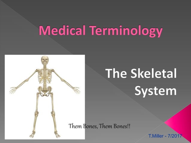 The Skeletal System | PPTX