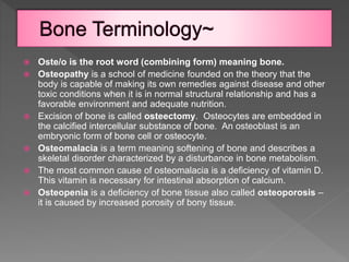 The Skeletal System | PPTX