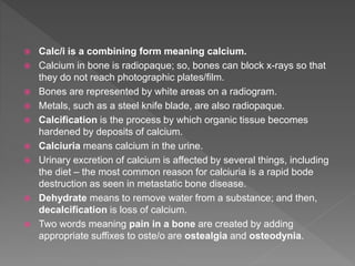 The Skeletal System | PPTX