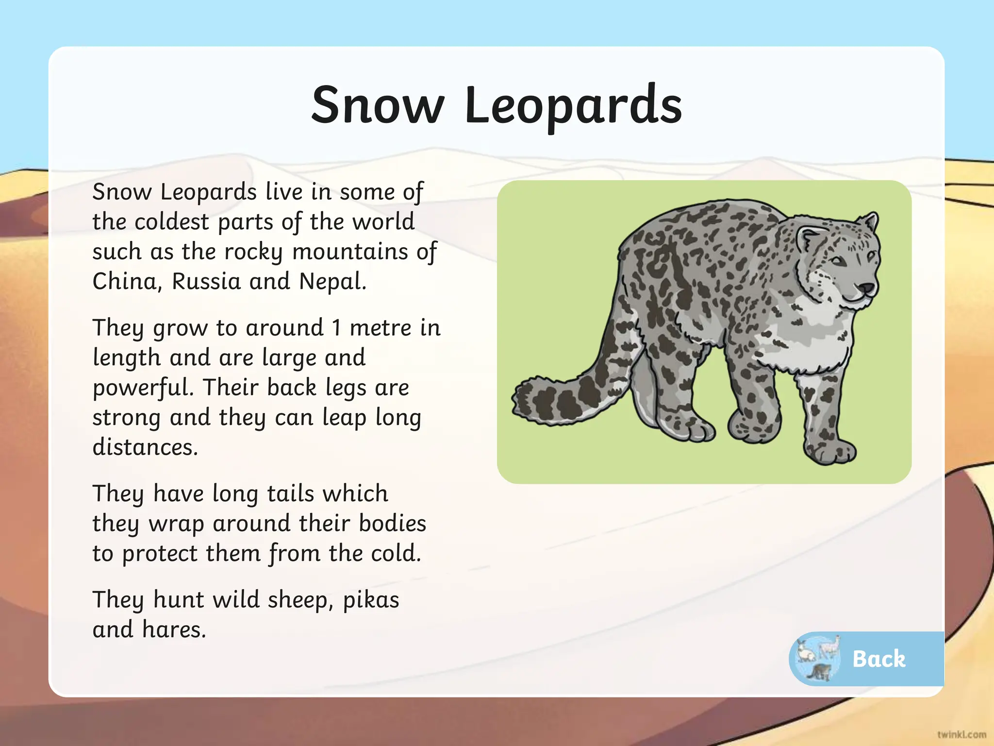 t-t-252994--desert-animal-habitats-powerpoint-_ver_9.pptx