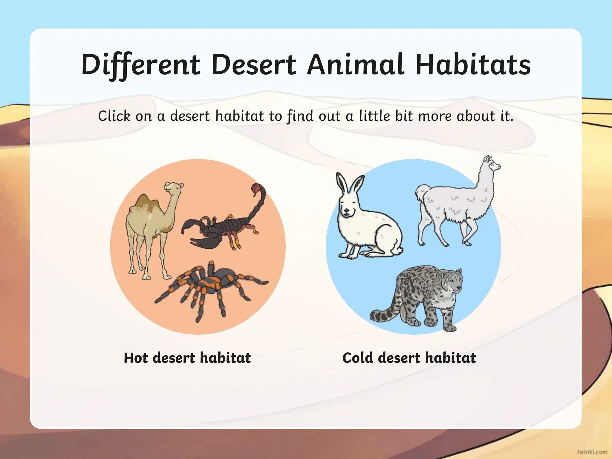 t-t-252994--desert-animal-habitats-powerpoint-_ver_9.pptx