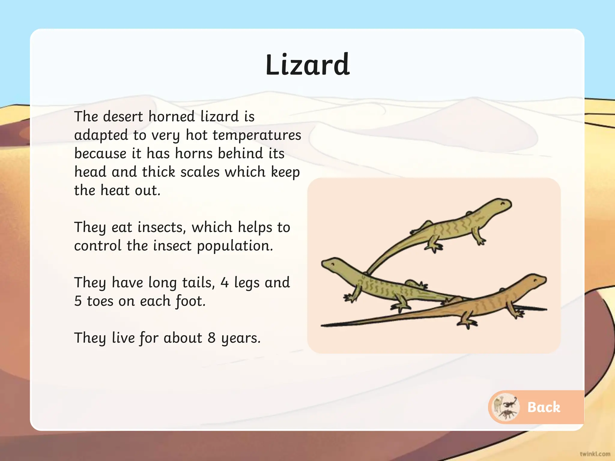 t-t-252994--desert-animal-habitats-powerpoint-_ver_9.pptx