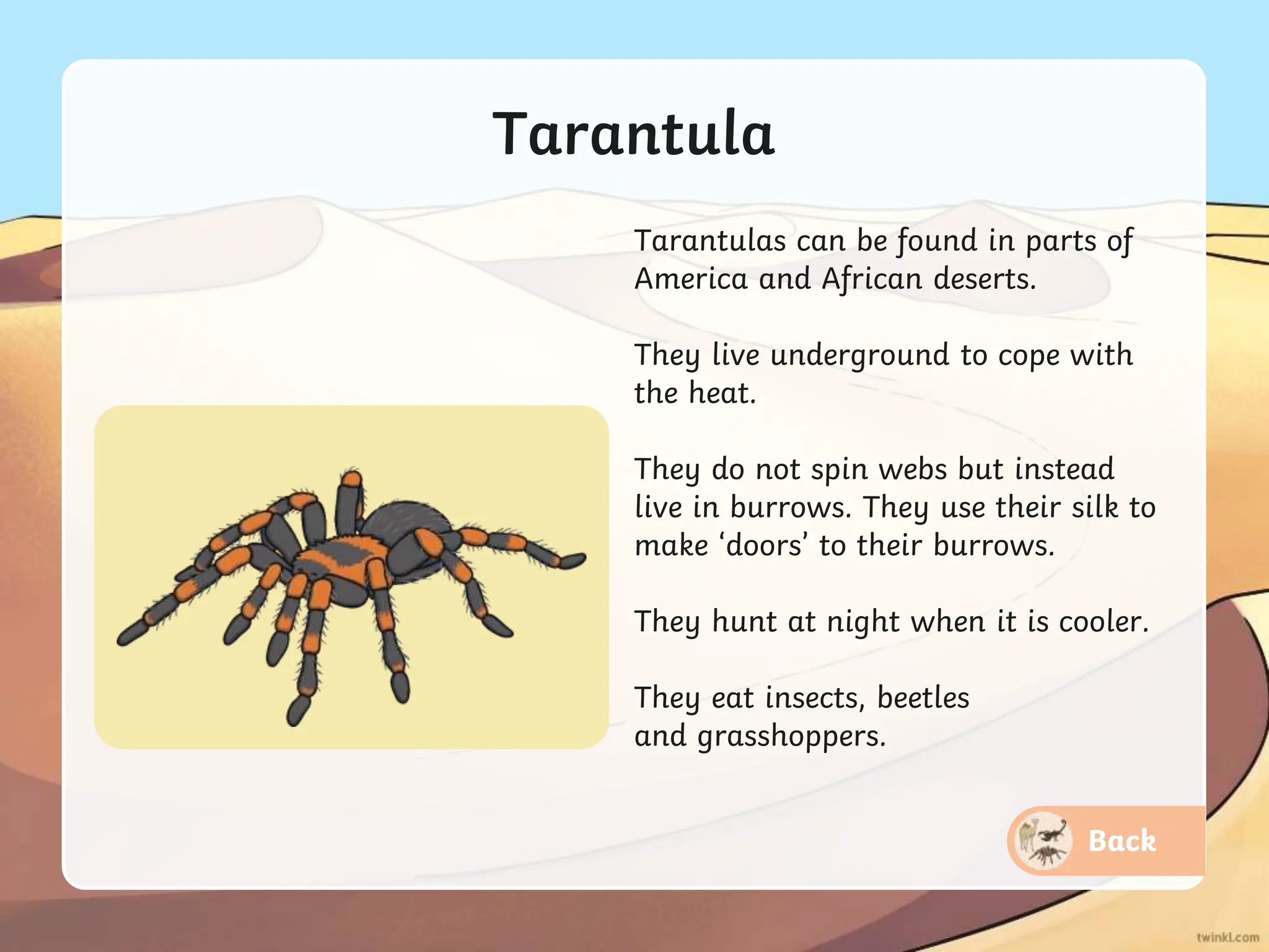 t-t-252994--desert-animal-habitats-powerpoint-_ver_9.pptx