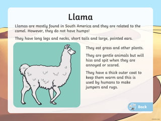 t-t-252994--desert-animal-habitats-powerpoint-_ver_9.pptx