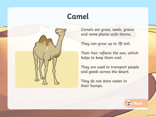 t-t-252994--desert-animal-habitats-powerpoint-_ver_9.pptx