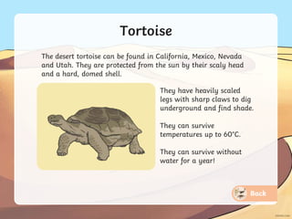 t-t-252994--desert-animal-habitats-powerpoint-_ver_9.pptx