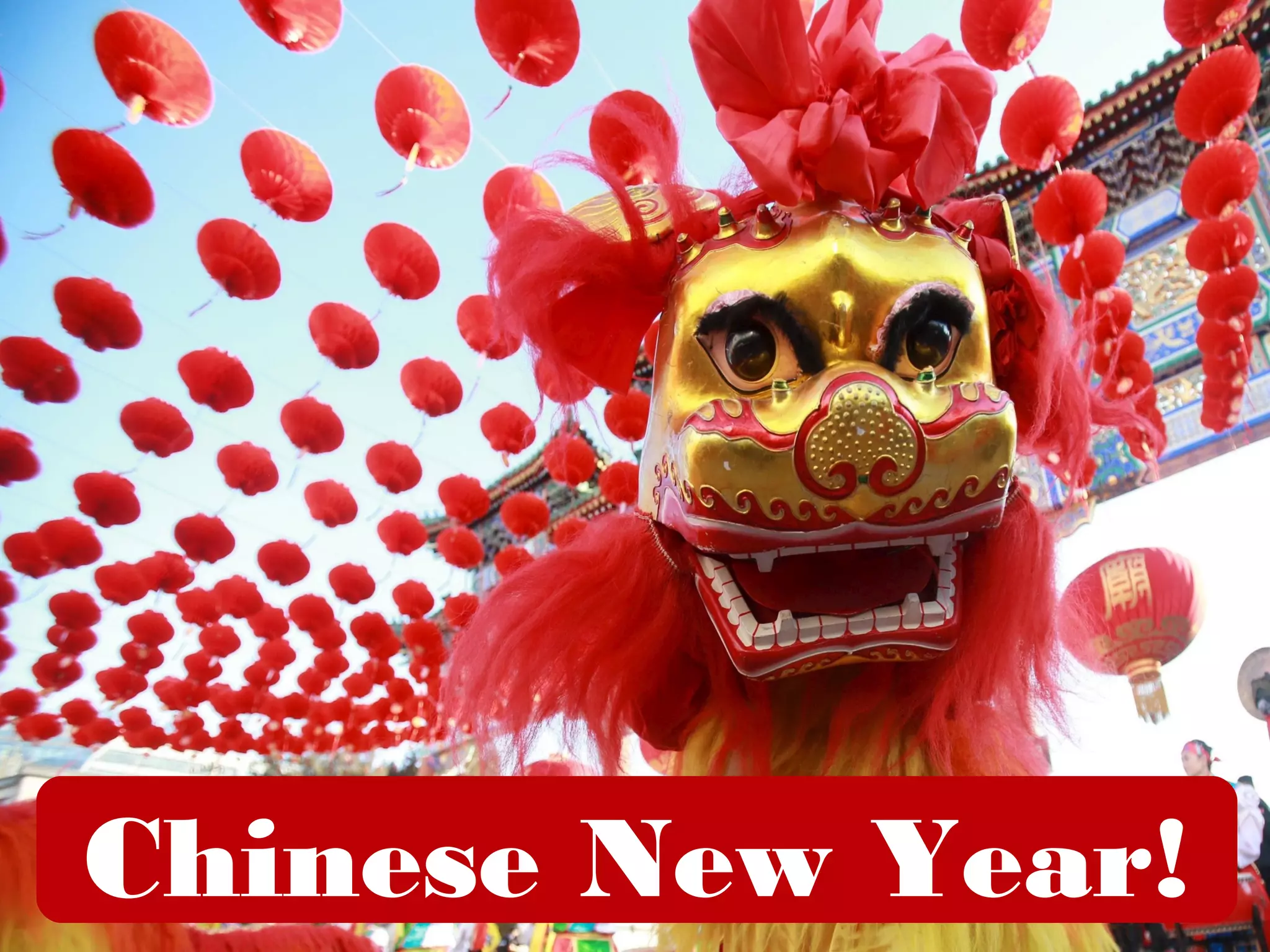 Chinese New Year 2019 | PPT