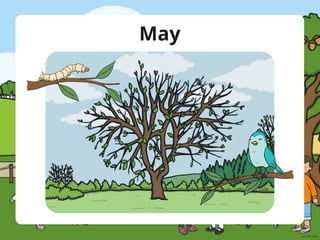 t-t-28781-months-of-the-year-seasons-powerpoint-_ver_2.ppt