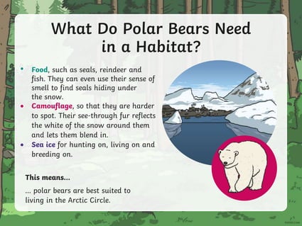 t-t-4796-animal-habitats-powerpoint-_ver_2.ppt