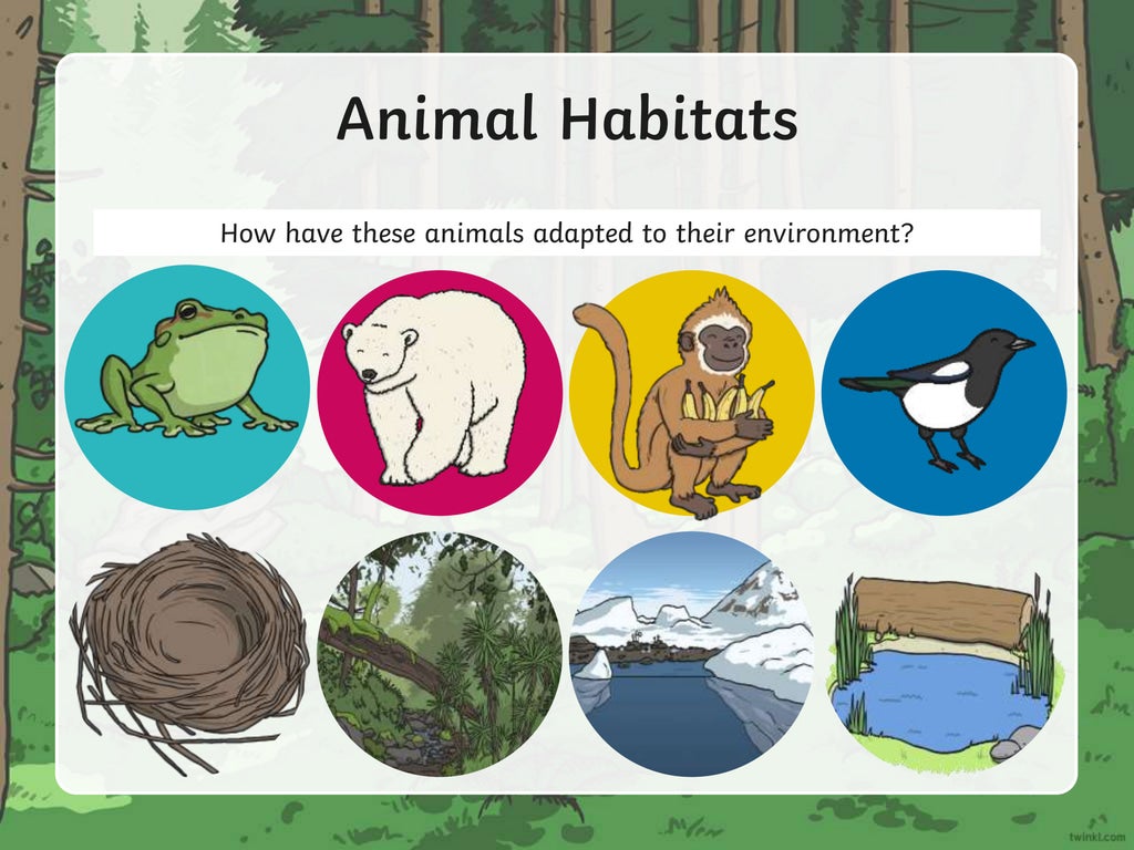 t-t-4796-animal-habitats-powerpoint-_ver_2.ppt