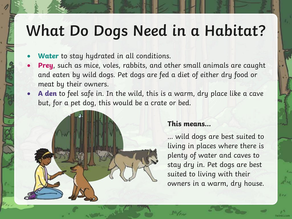t-t-4796-animal-habitats-powerpoint-_ver_2.ppt