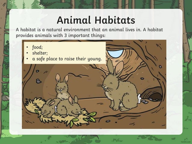 t-t-4796-animal-habitats-powerpoint-_ver_2.ppt