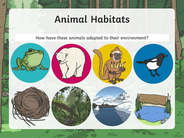 t-t-4796-animal-habitats-powerpoint-_ver_2.ppt