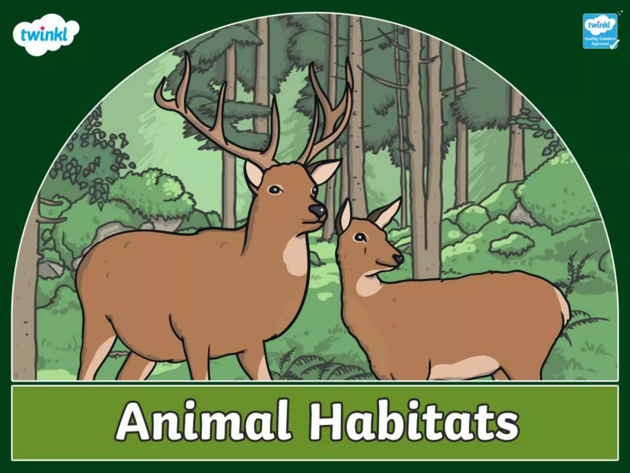 t-t-4796-animal-habitats-powerpoint_ver_8.pptx | Zoos & Aquariums ...