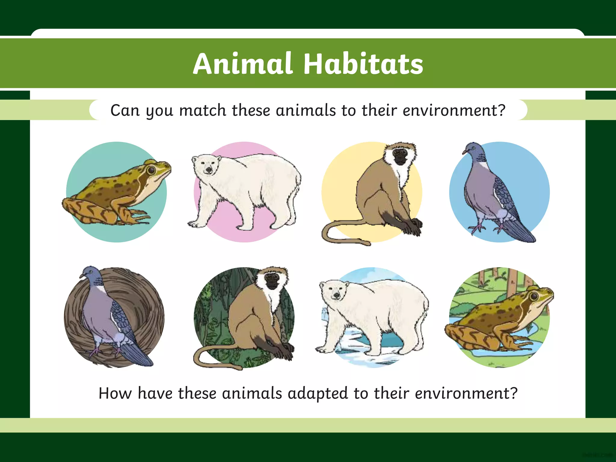 t-t-4796-animal-habitats-powerpoint_ver_8.pptx | Zoos & Aquariums ...