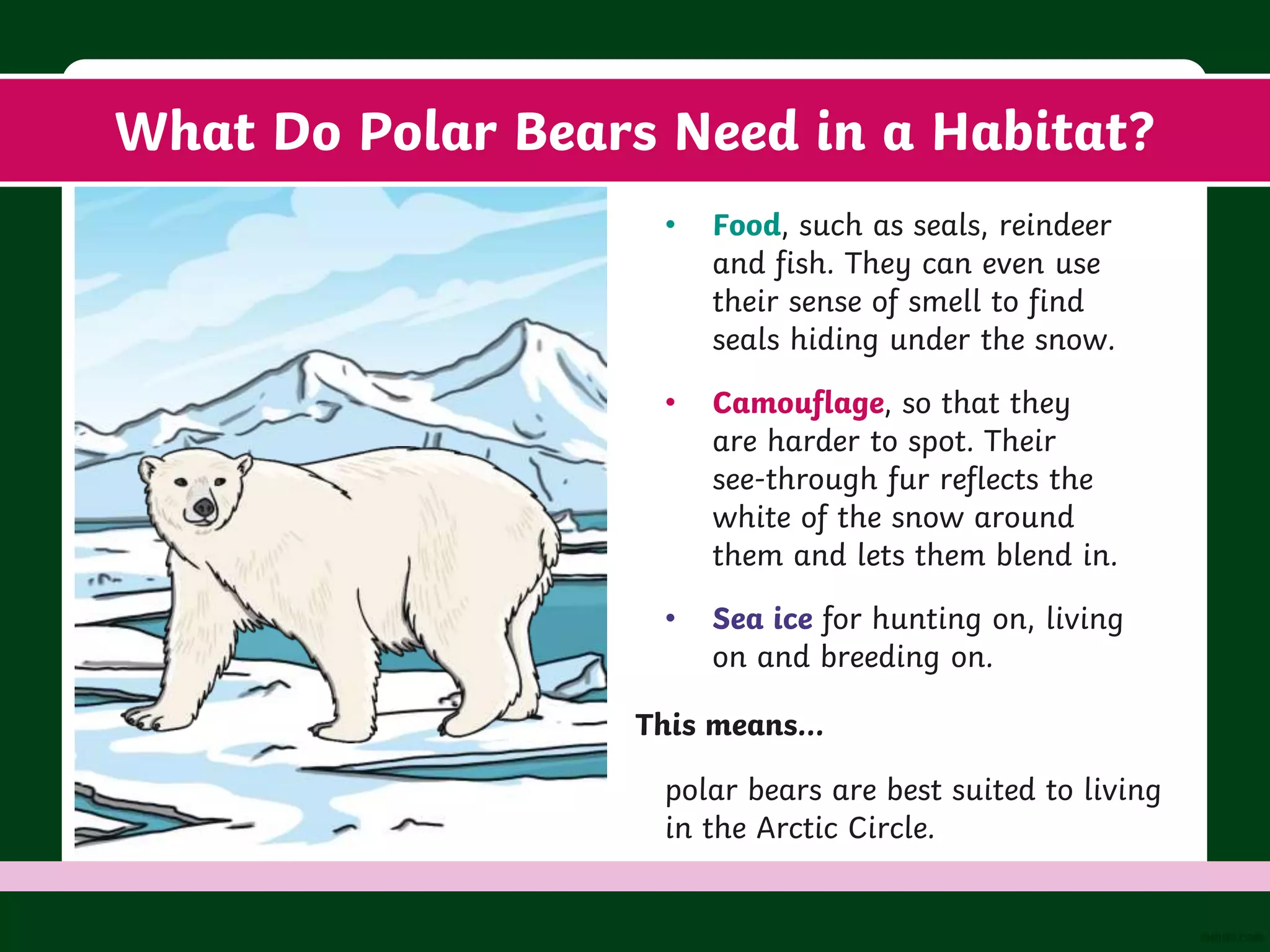 t-t-4796-animal-habitats-powerpoint_ver_8.pptx | Zoos & Aquariums ...