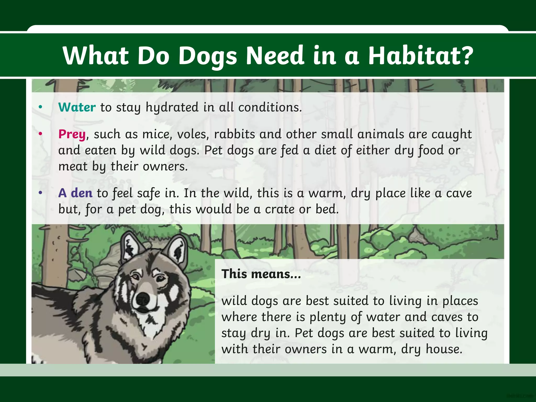 t-t-4796-animal-habitats-powerpoint_ver_8.pptx | Zoos & Aquariums ...