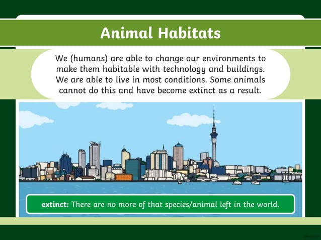 t-t-4796-animal-habitats-powerpoint_ver_8.pptx