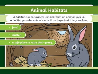 t-t-4796-animal-habitats-powerpoint_ver_8.pptx