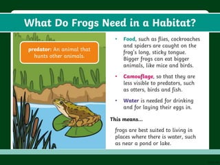 t-t-4796-animal-habitats-powerpoint_ver_8.pptx
