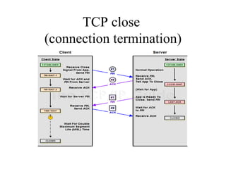 T Tcp | PPT
