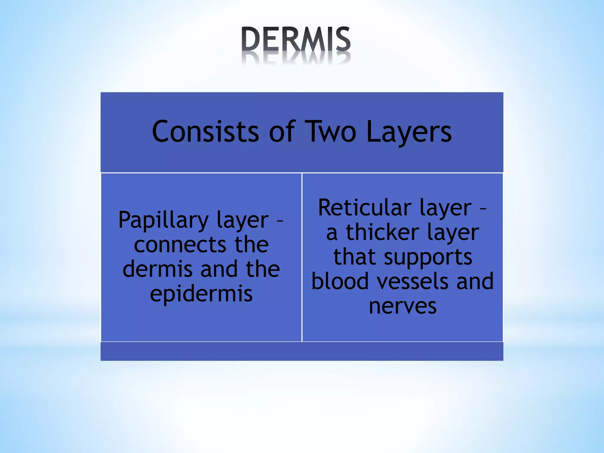 The Integumentary System | PPTX