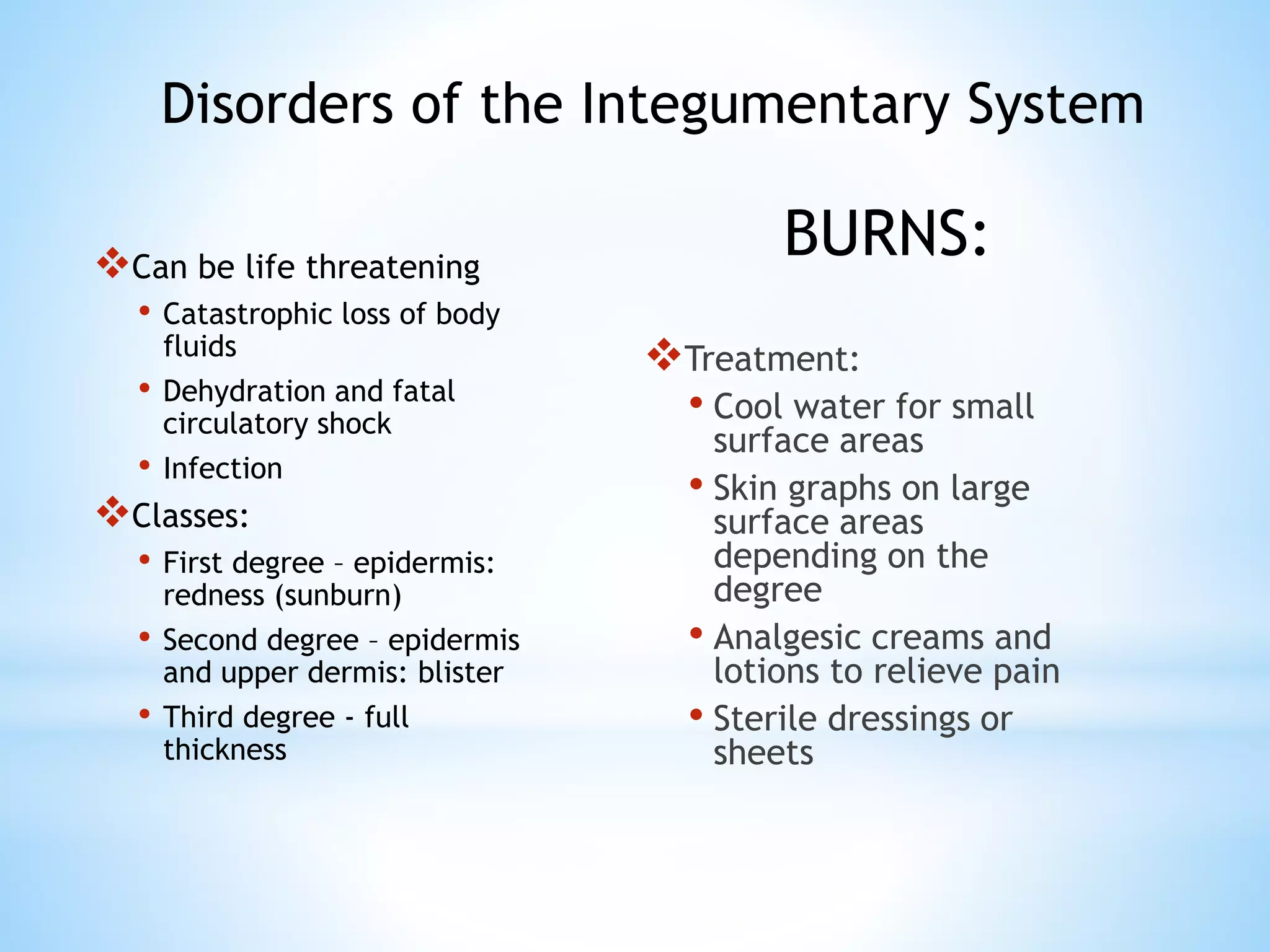 The Integumentary System | PPTX