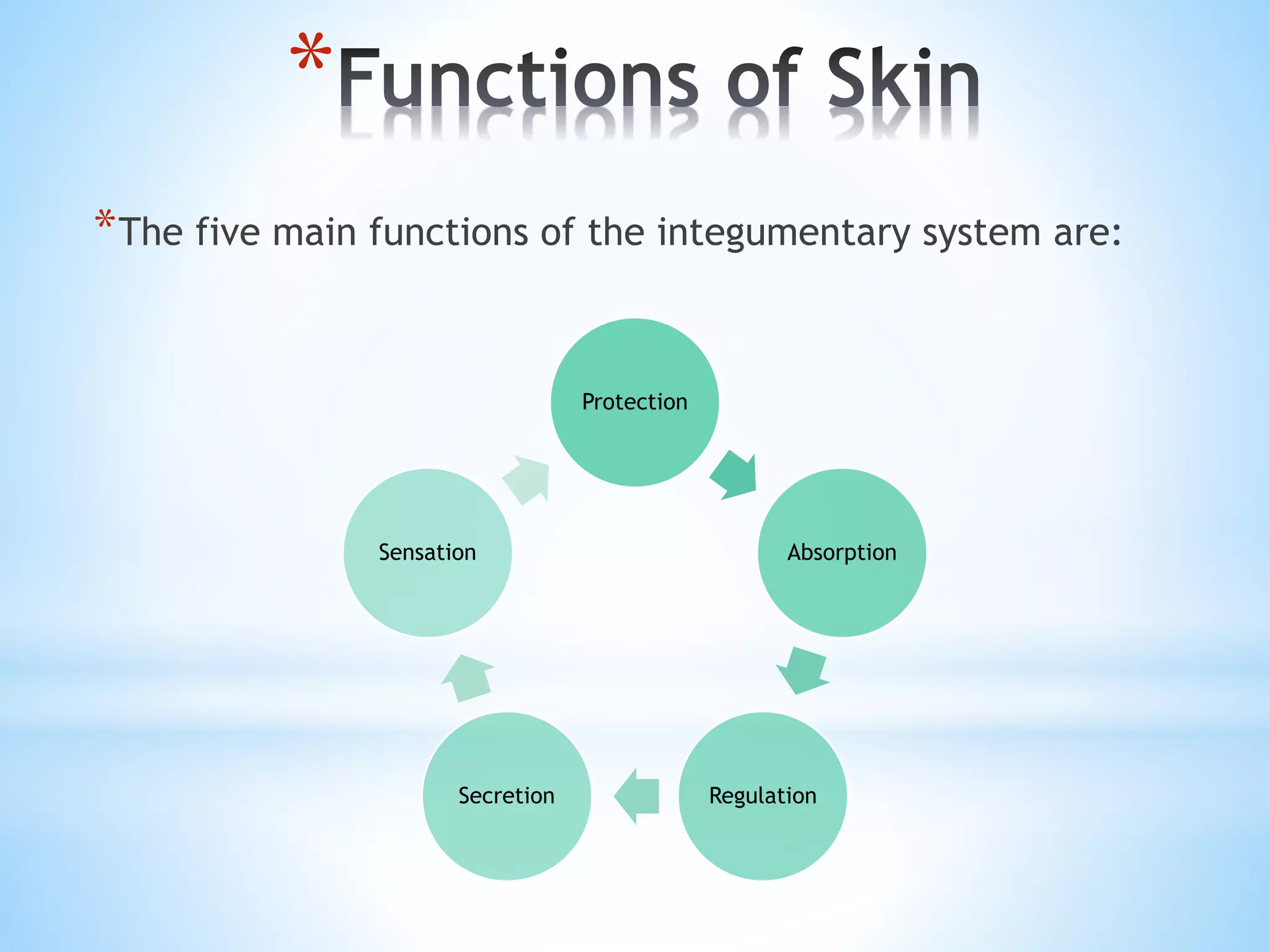 The Integumentary System | PPTX