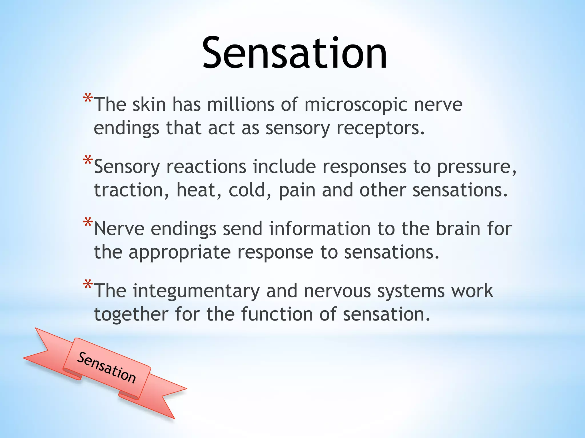 The Integumentary System | PPTX