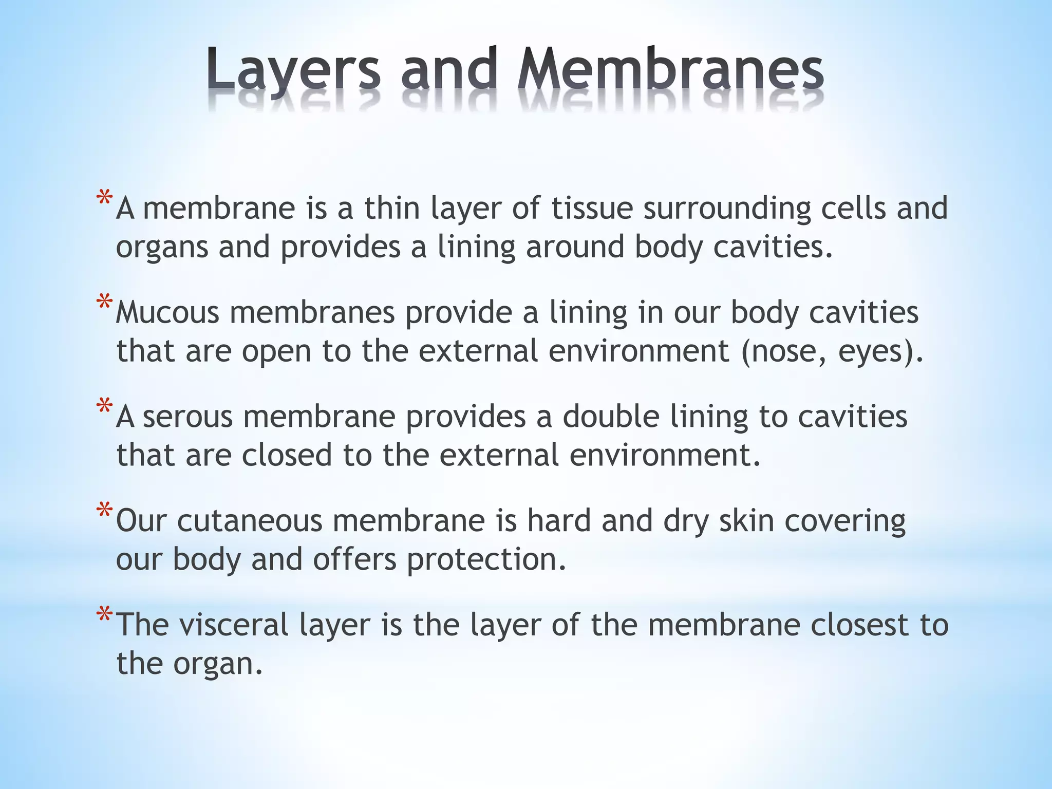 The Integumentary System | PPTX