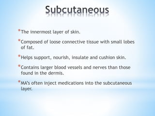 The Integumentary System | PPTX