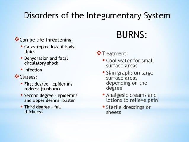 The Integumentary System | PPTX | Skin and Dermatology | Diseases and ...