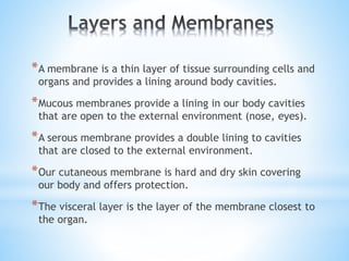The Integumentary System | PPTX