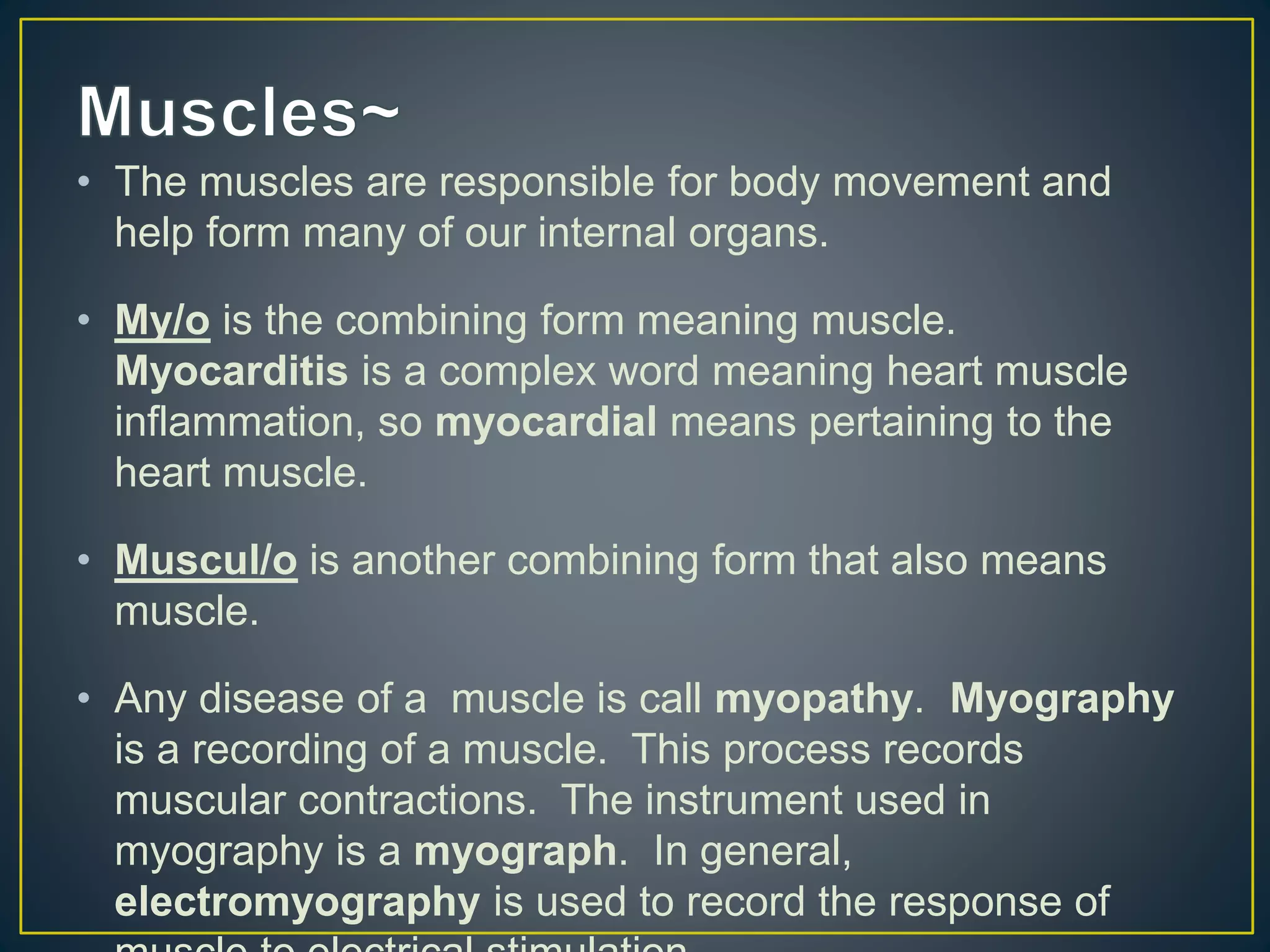 The Muscular System | PPTX