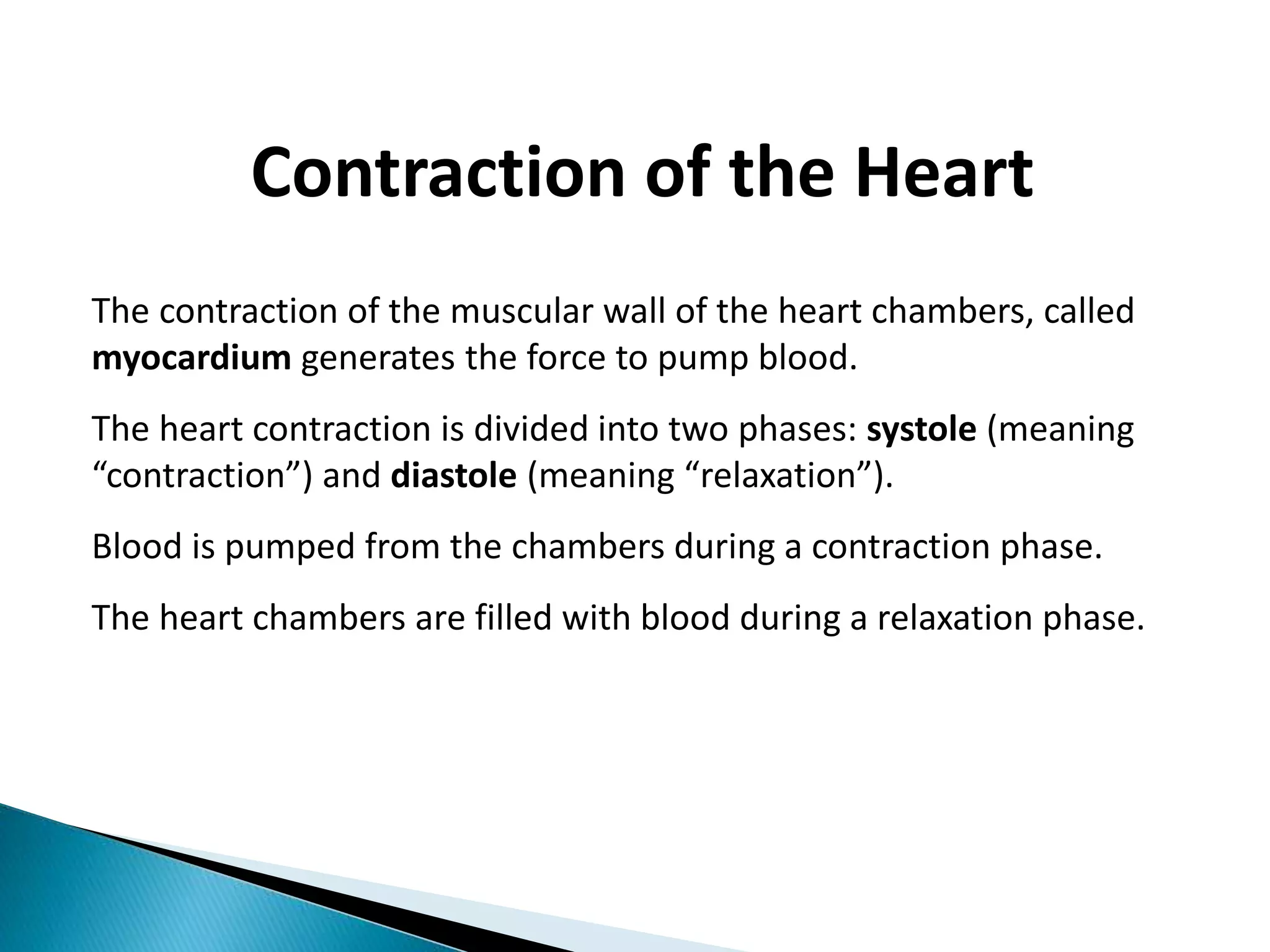 The structure and Function of the Heart | PPTX
