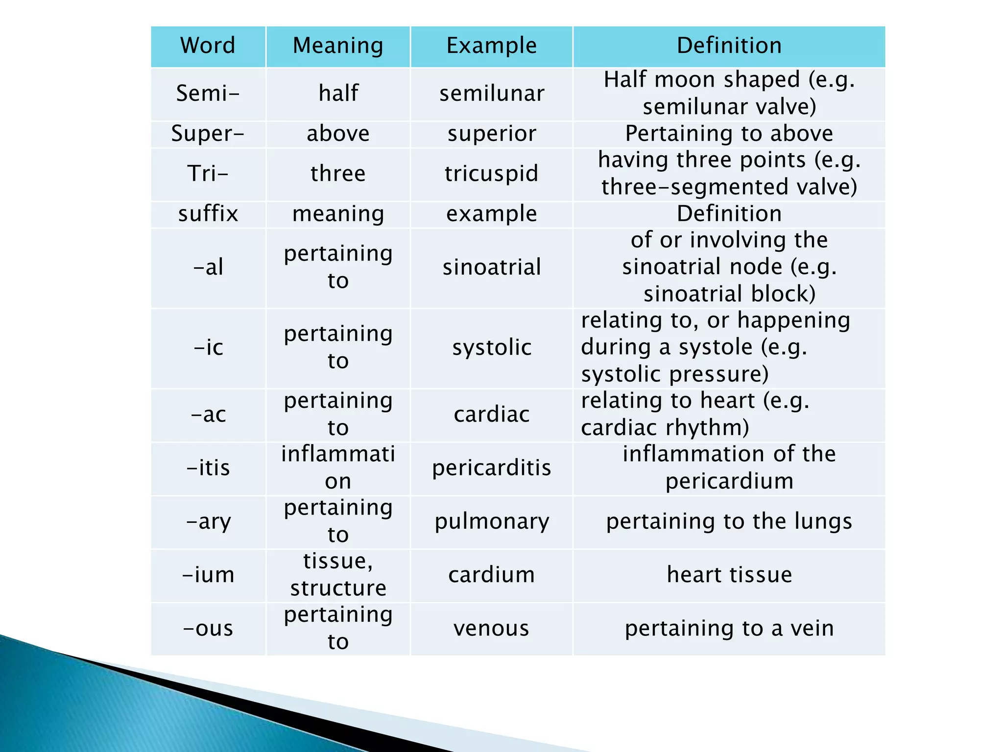 The structure and Function of the Heart | PPTX
