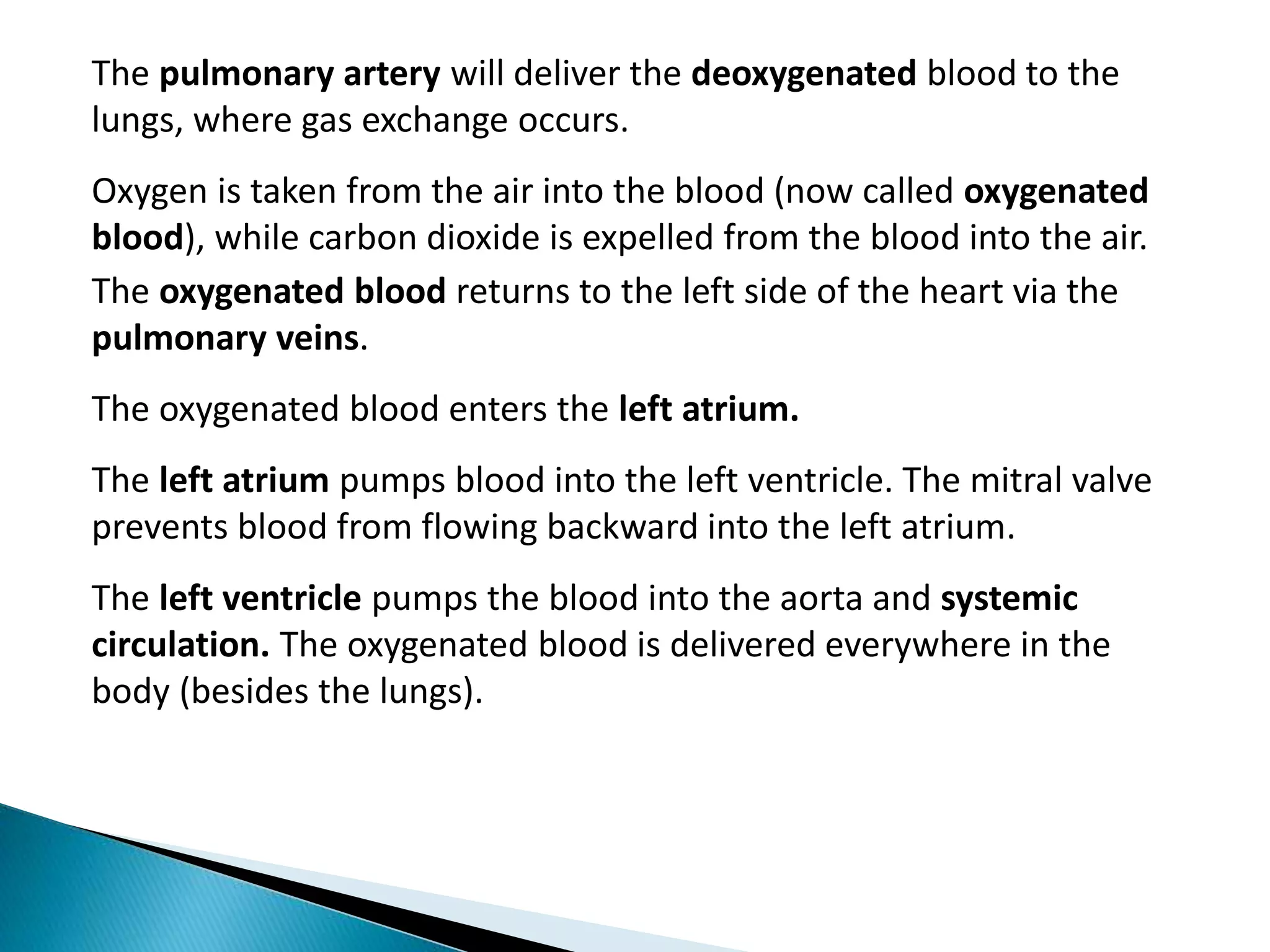The structure and Function of the Heart | PPTX