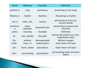 The structure and Function of the Heart | PPTX